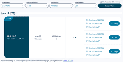 Java 版本从 11 更新到 17
